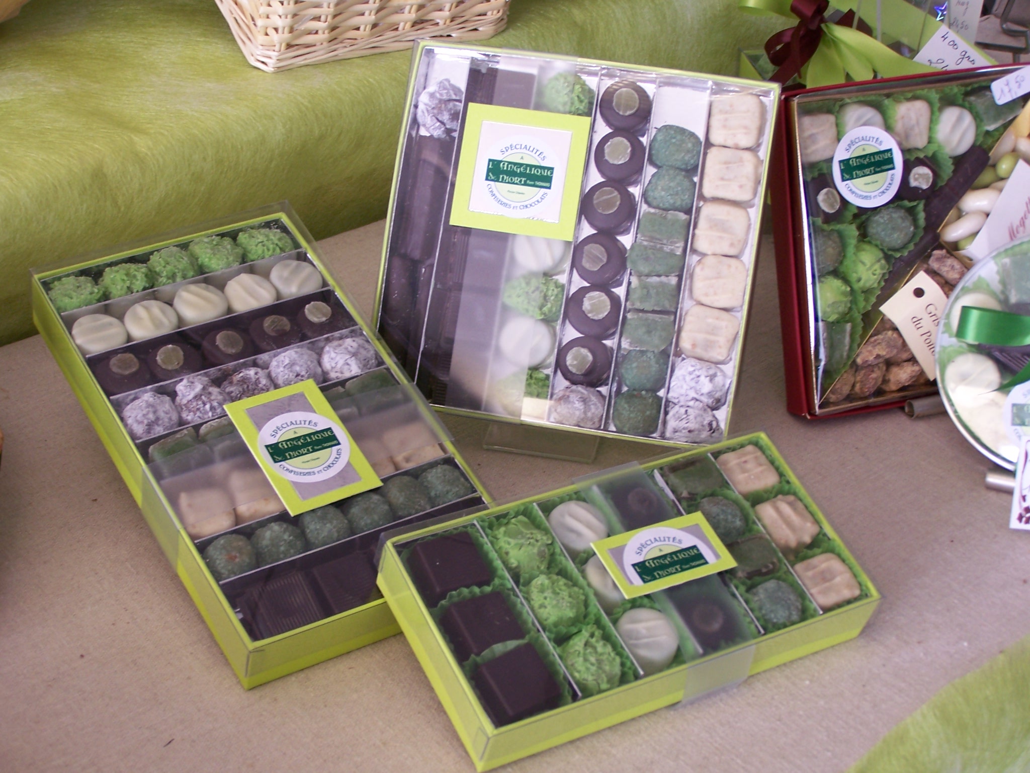 L'Angélique de Niort, une plante. Etablissements Thonnard. Le Marais ...